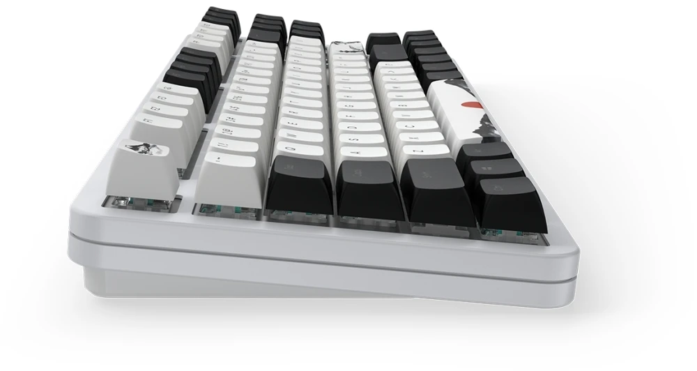 Dark Project 87 Fuji V2 RGB TKL